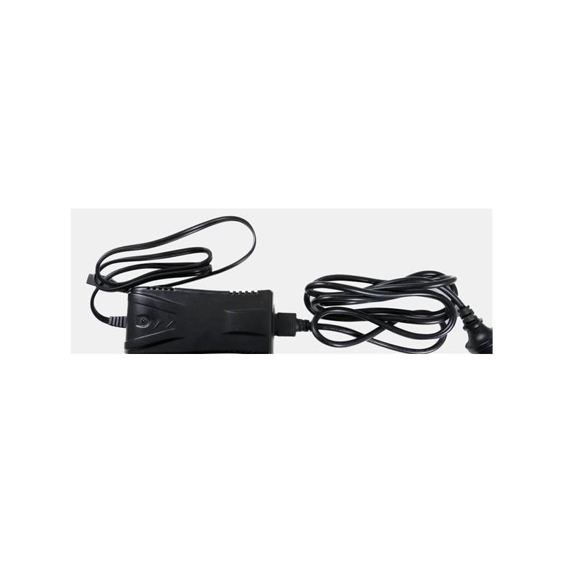 MGI Ai charger/laddare
